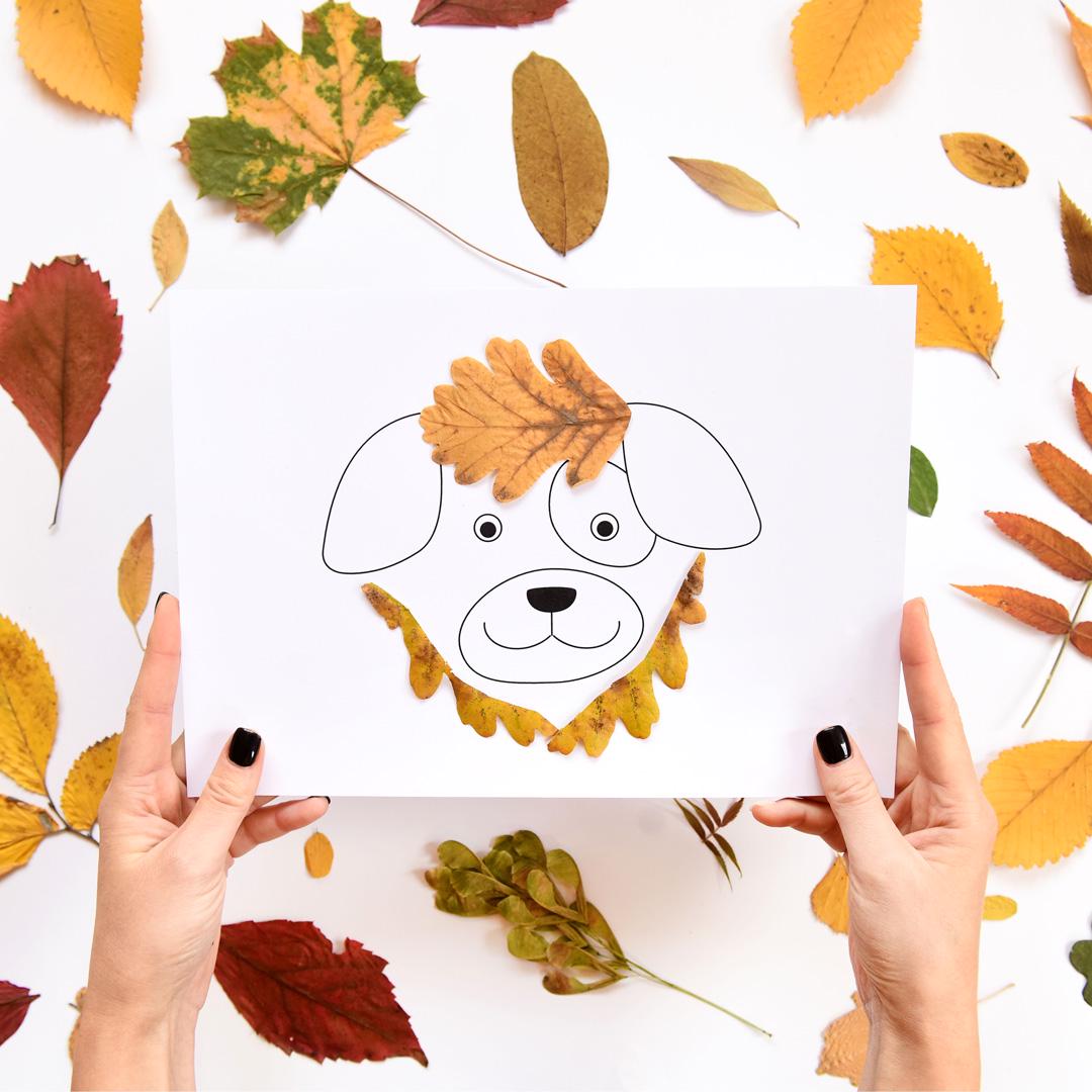 Leaf Creatures | Fall Craft | DIY Leaf Animal Templates | Creative Leaf ...
