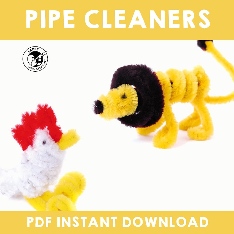 Pipe Cleaner Crafts Kit - Etsy