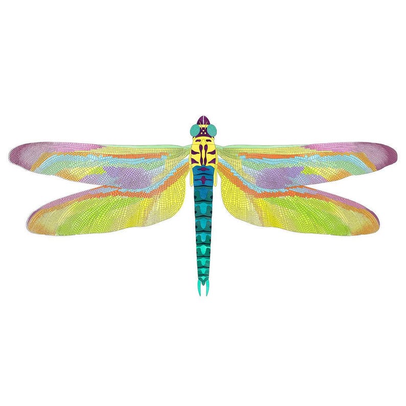 Meganeura Coloring Page: Giant Dragonfly Art, Kids Activity (PDF) - Etsy
