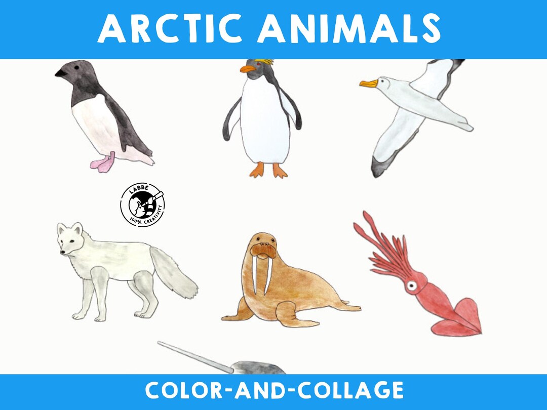 Arctic Animals Collage: Kids Craft Activity (printable Templates) - Etsy