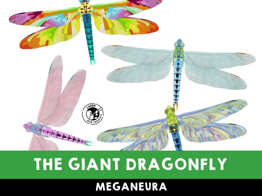 Meganeura Coloring Page: Giant Dragonfly Art, Kids Activity (PDF) - Etsy