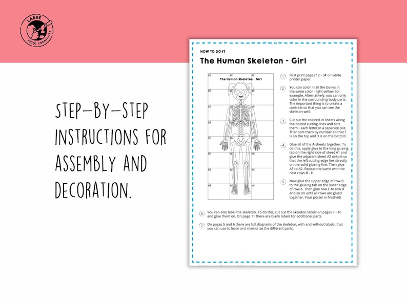 The Human Skeleton - Girl | Life-size Poster | DIY Anatomy Activity ...
