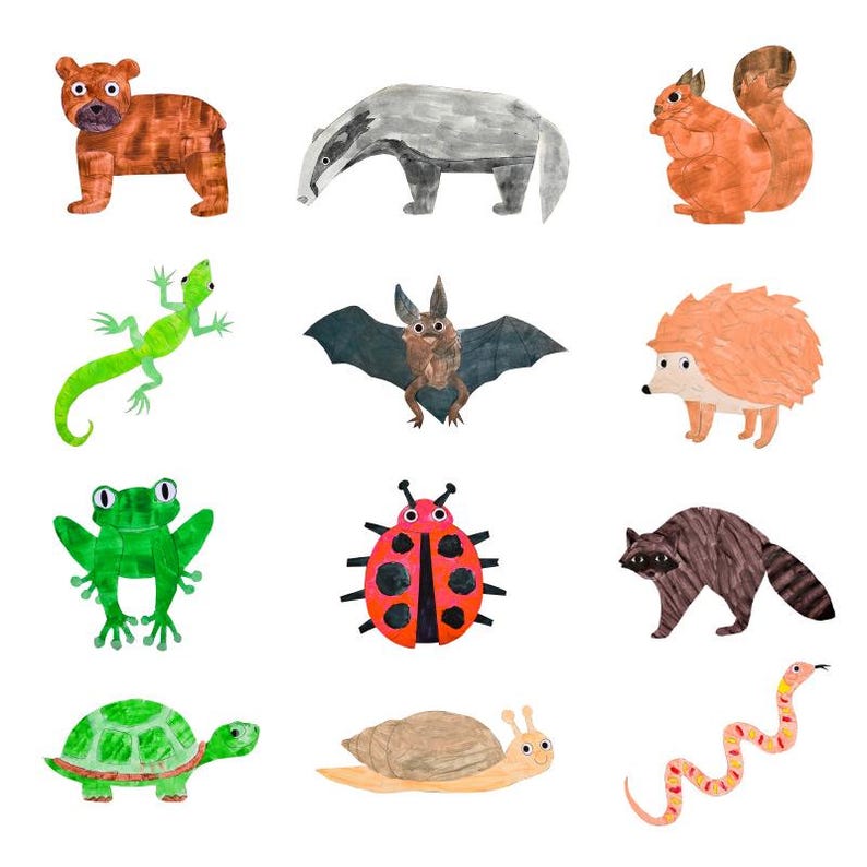 Hibernating Animals Collage | DIY Animal Craft Templates | Printable ...