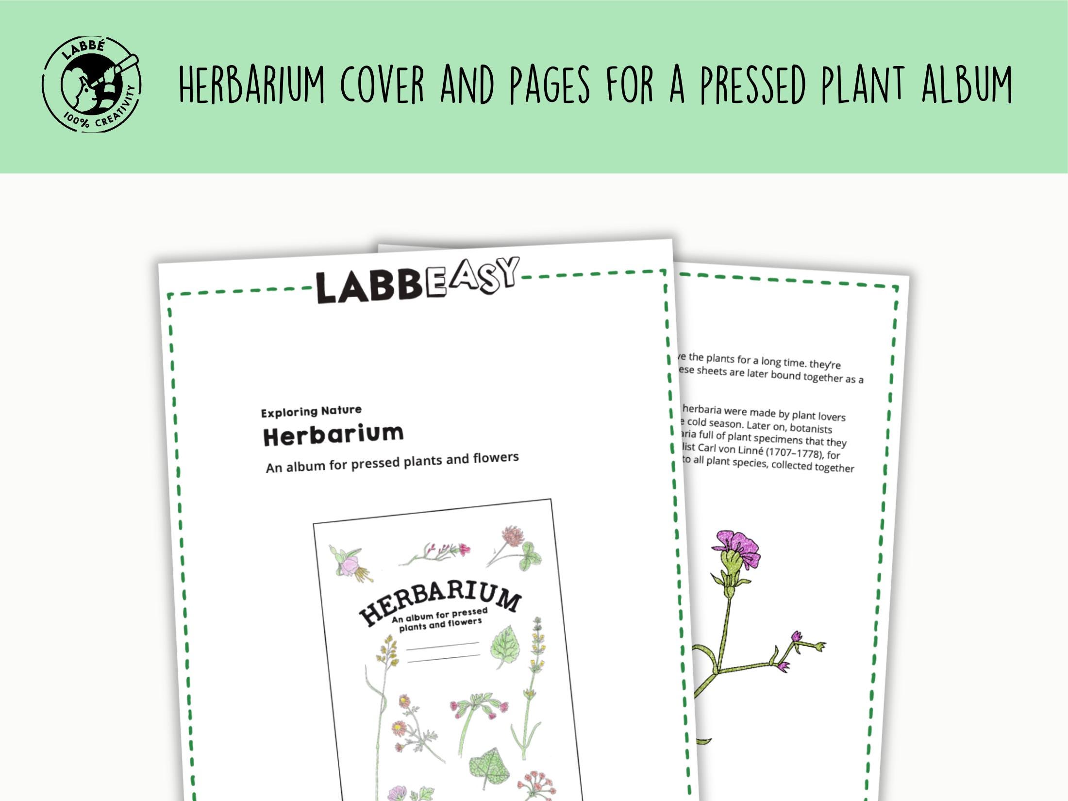 Herbarium | DIY Plant Collection | Printable Herbarium Sheets | Nature ...