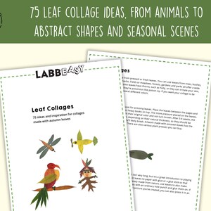 Leaf Collages | Autumn Nature Craft | DIY Leaf Art | Printable Fall ...