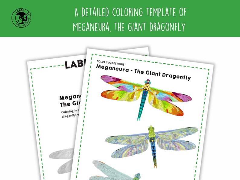 Meganeura Coloring Page: Giant Dragonfly Art, Kids Activity (PDF) - Etsy