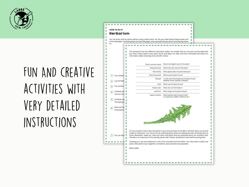 Herbarium | DIY Plant Collection | Printable Herbarium Sheets | Nature ...