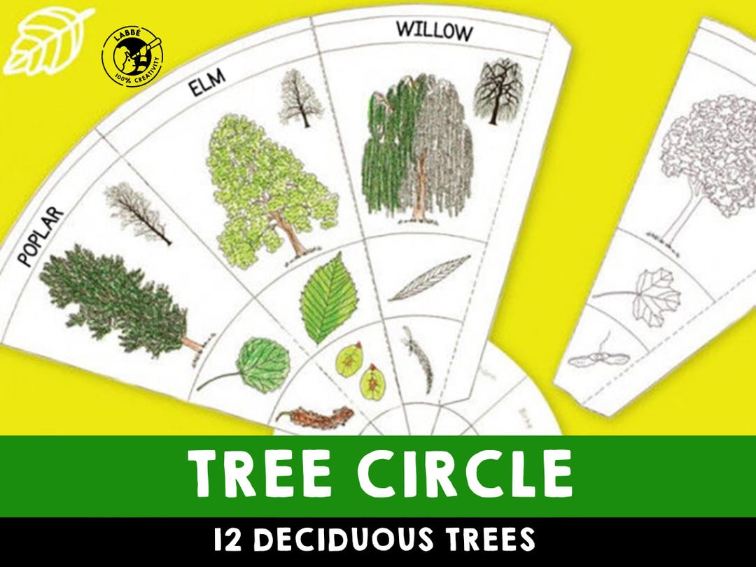DIY Tree Circle Craft Kit: Printable Deciduous Tree Templates (PDF ...