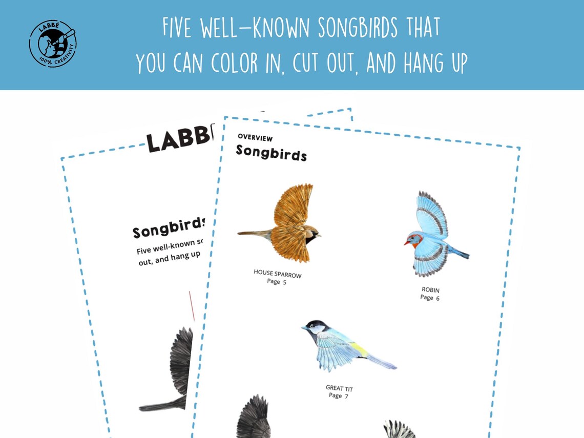 Songbird Craft Kit: DIY Printable Bird Mobile (PDF) - Etsy