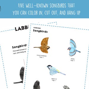 Songbirds Craft | DIY Songbird Templates | Printable Songbird ...