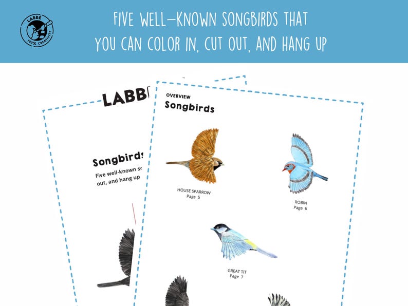 Songbirds Craft | DIY Songbird Templates | Printable Songbird ...