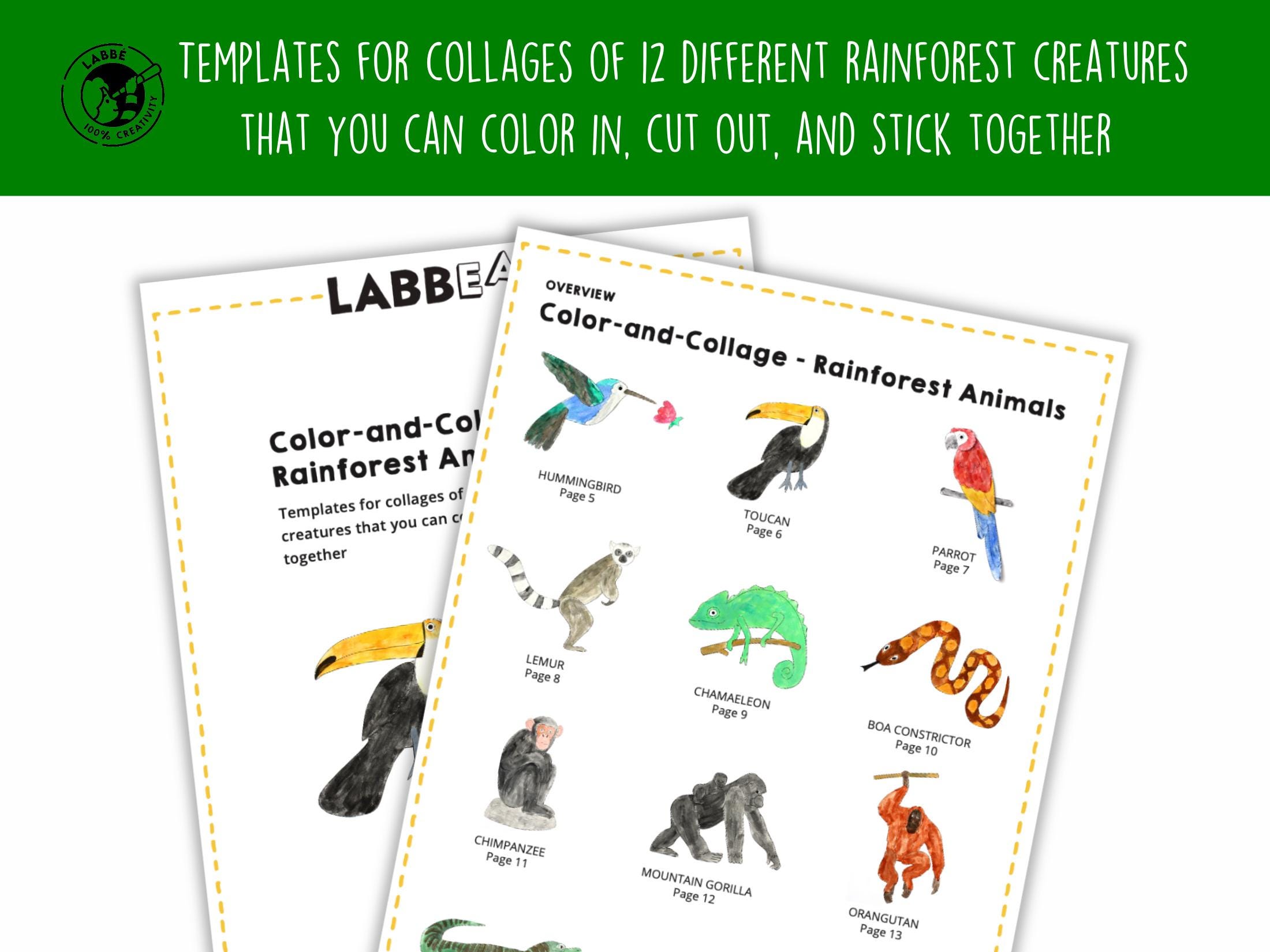 Rainforest Animals Collage: DIY Color & Cut Craft (PDF) - Etsy