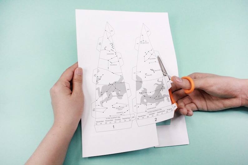 The Night Sky | Domed Star Chart Template | Northern Hemisphere ...