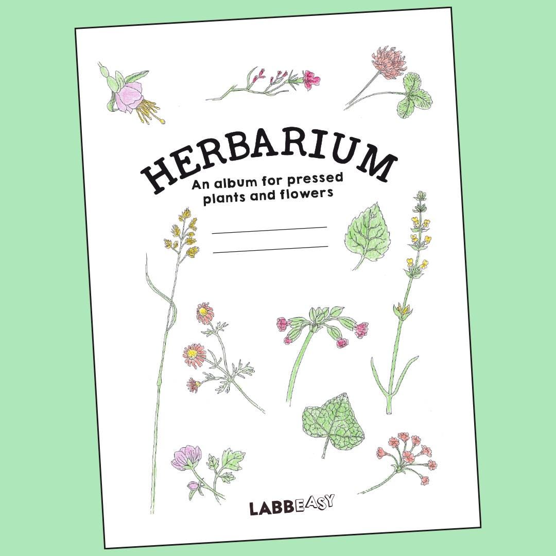 Herbarium | DIY Plant Collection | Printable Herbarium Sheets | Nature ...