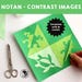 Notan Contrast Images | Japanese Art Technique | DIY Notan Templates ...