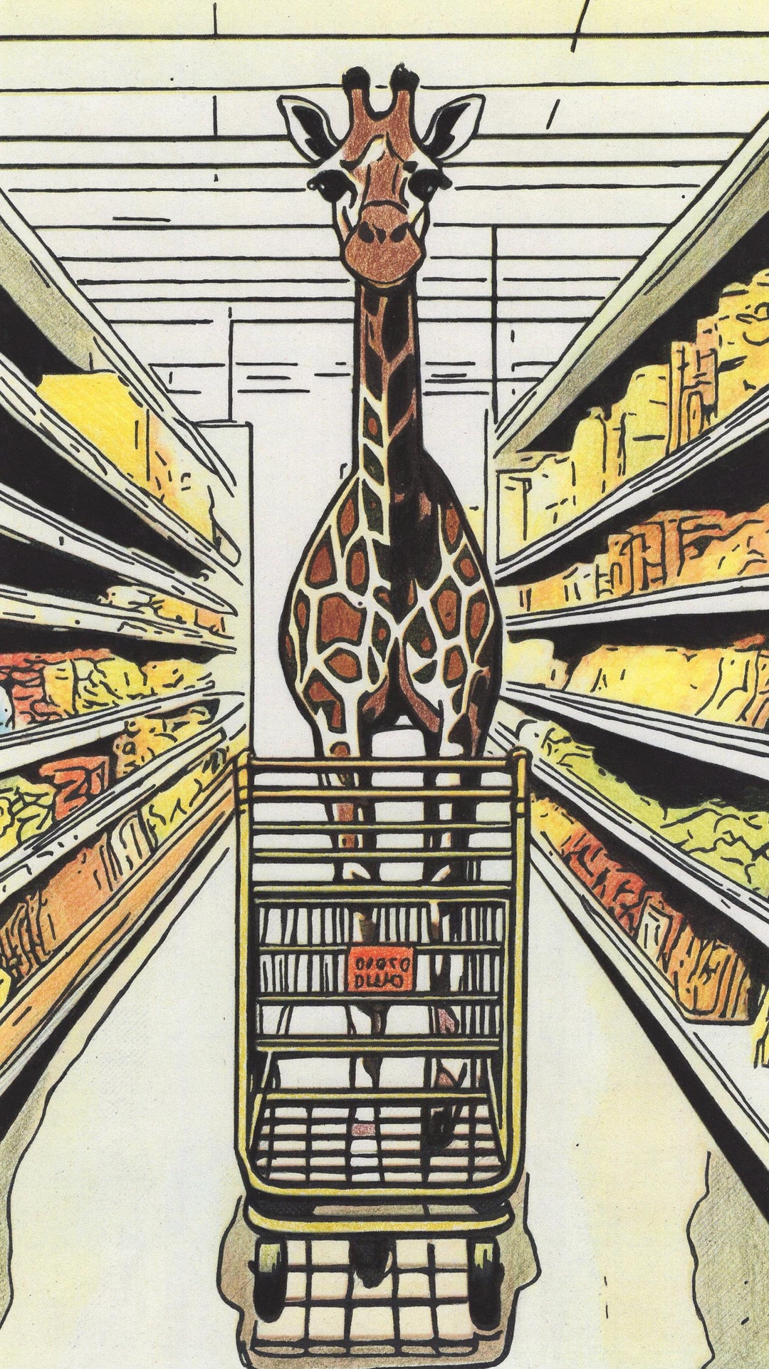 POP ART ANIMALS 4, Unique, Drawing, Art, Murals, Google, Pop Art, Wall ...