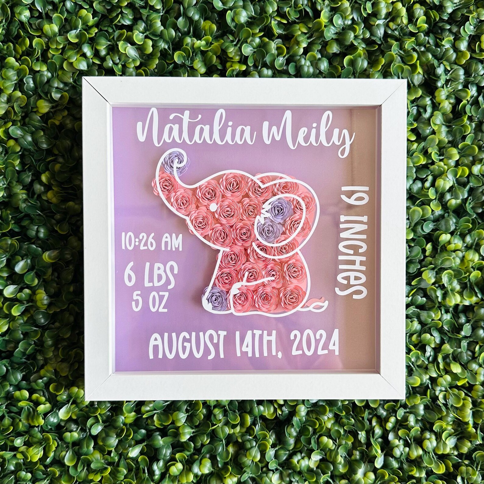 Baby Girl Information Shadow Box, Baby Elephant Shadow Box, Gift for ...