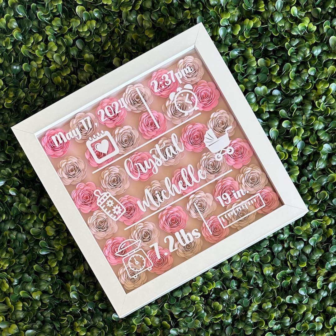 Baby Girl Information Shadow Box, Baby Shadow Box, Gift for New Mom ...