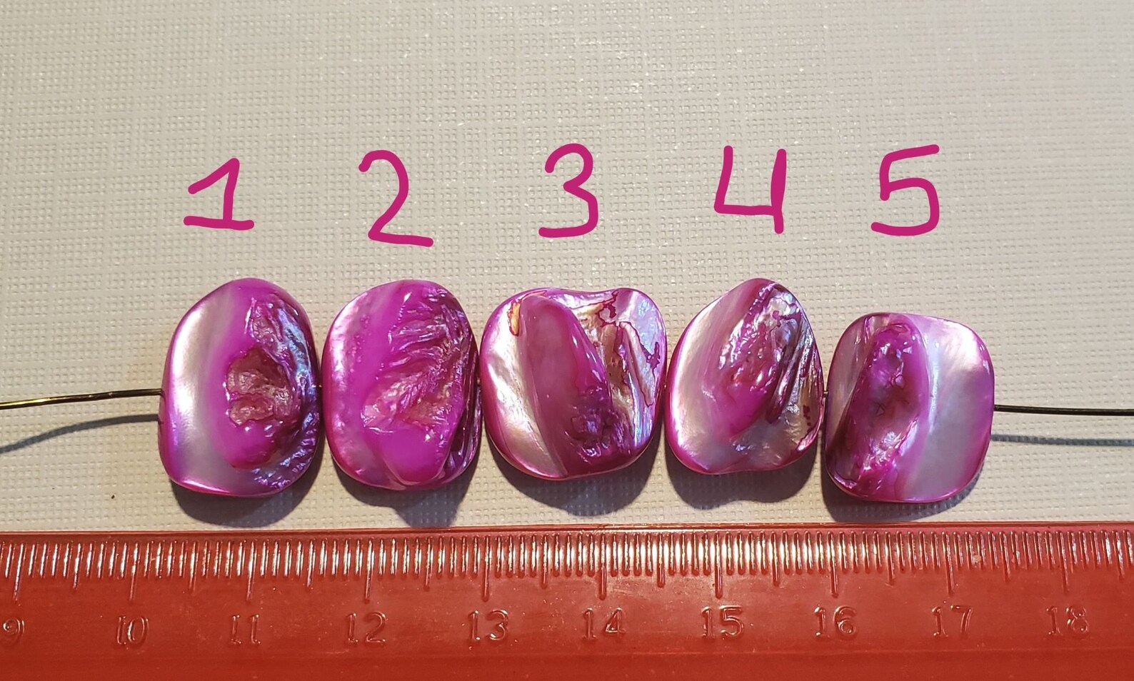 Hot Pink Shell Ring. Rare Shell Ring Fuchsia Shell Jewelry | Etsy