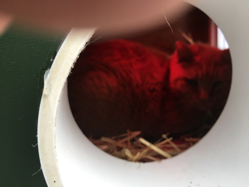 LARGE FERAL CAT Pod/deluxe Heat Heated House Bed Shelter - Etsy