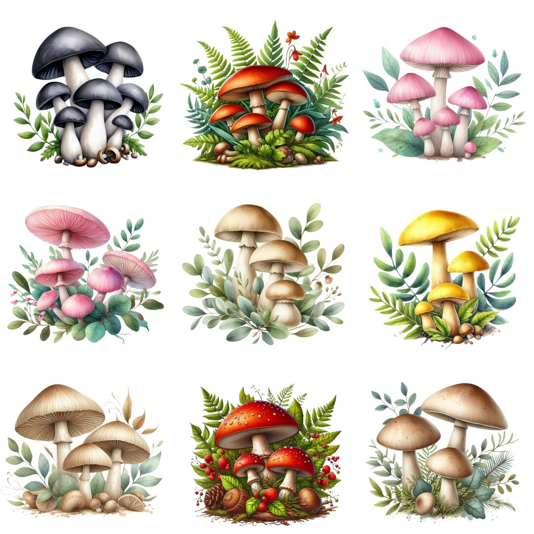 Mushrooms Watercolor Clipart Bundle, Mushroom Clipart and Mycology ...