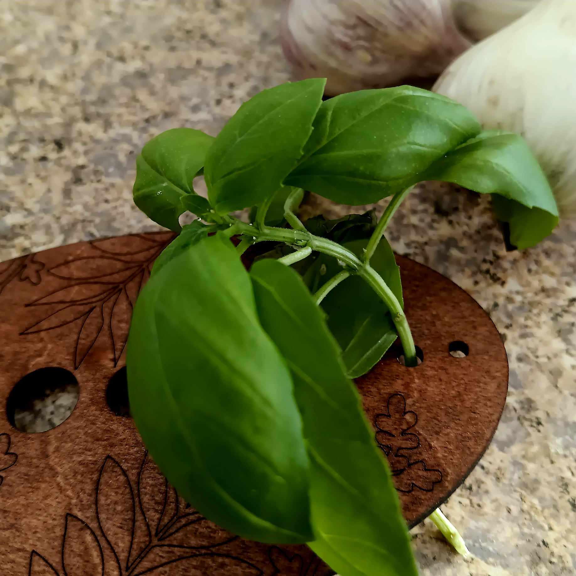 Herb Stripper, Healthy Eating, Strip Your Herbs in Seconds - Etsy