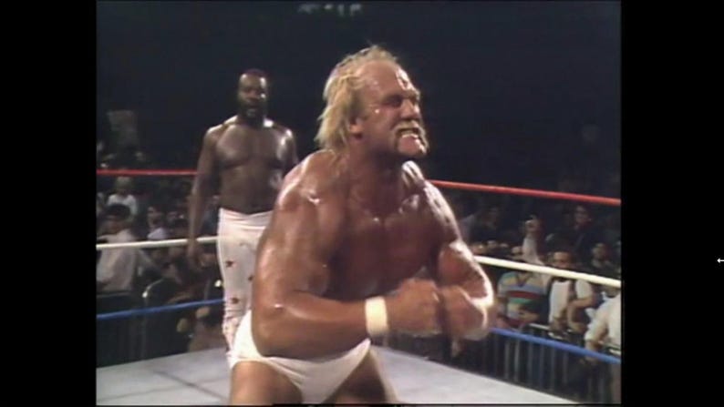 WWF 1986 Wrestling Challenge Season DVD Disc Lot "free Shipping* - Etsy