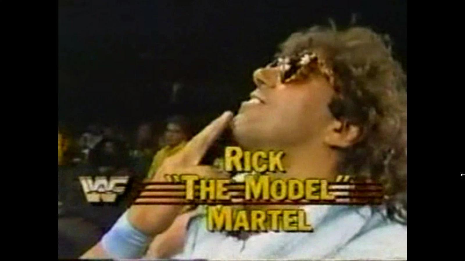 WWF 1990 Prime Time Wrestling Complete Season Lot on DVD Disc "free ...