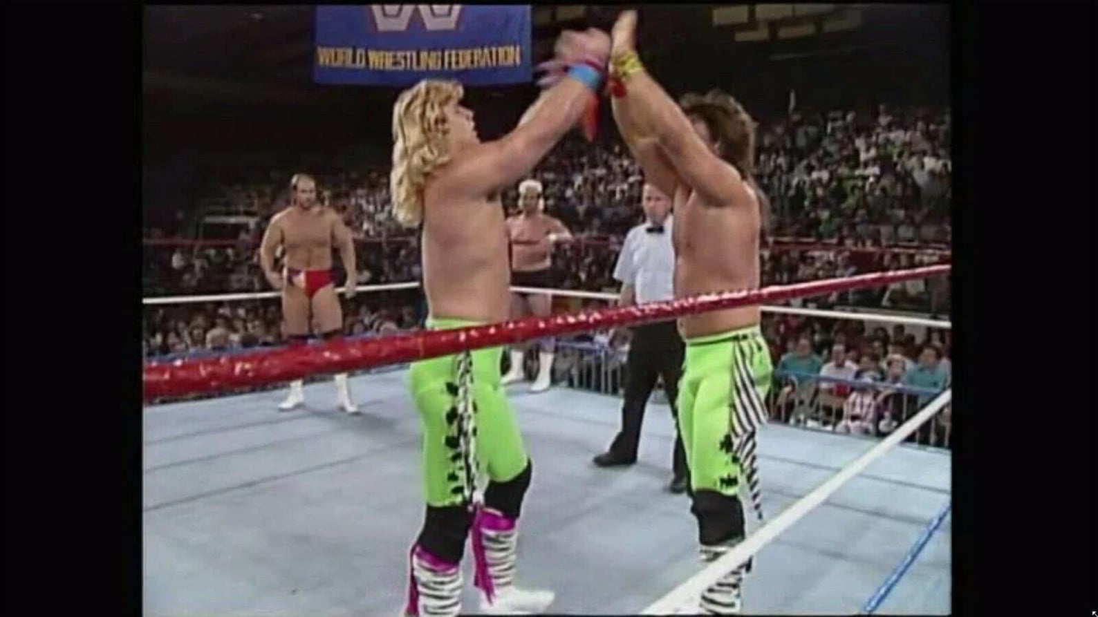 WWF 1989 Prime Time Wrestling Complete Season Lot on DVD Disc "free ...