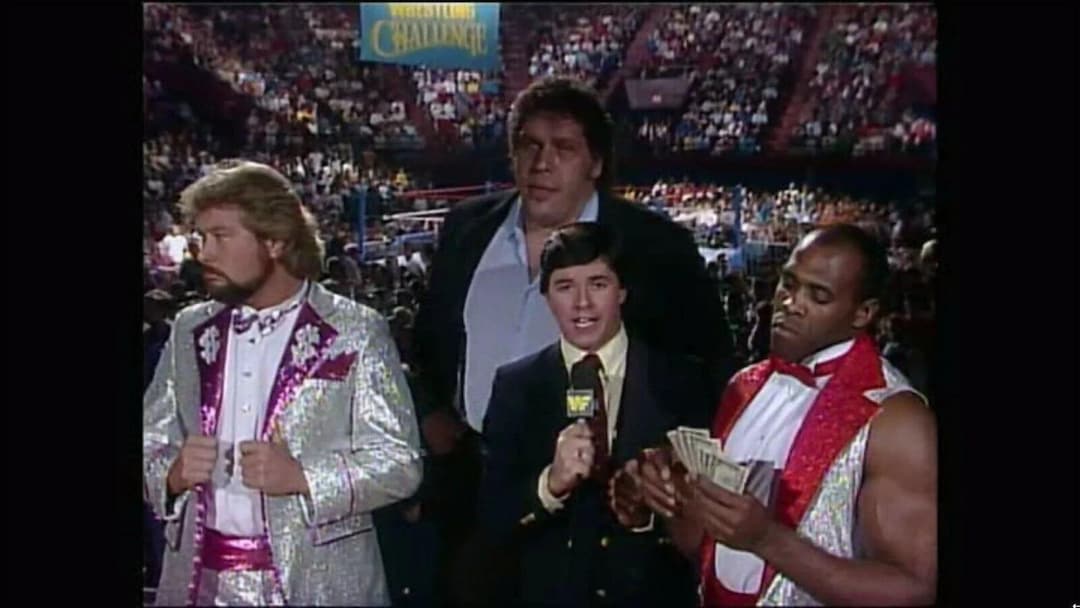 WWF 1988 Prime Time Wrestling Complete Season Lot on DVD Disc "free ...