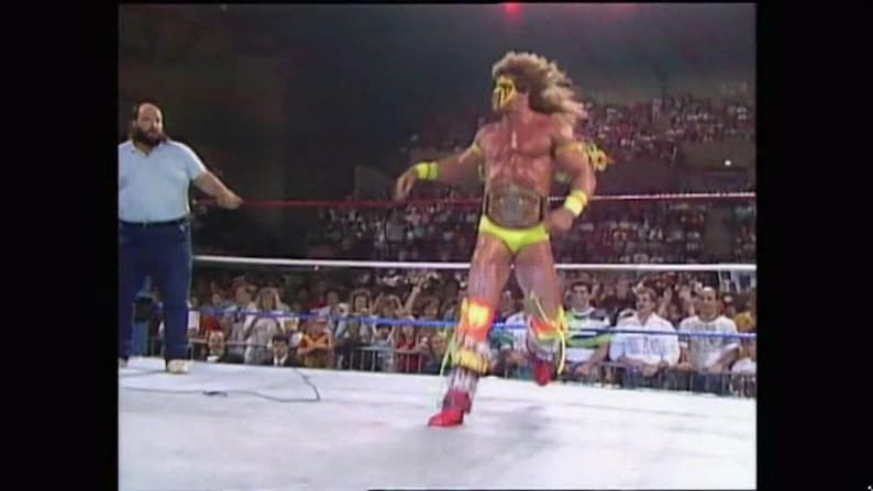 WWF 1989 Prime Time Wrestling Complete Season Lot on DVD Disc "free ...