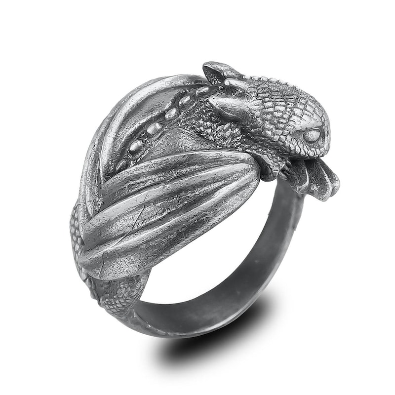 Sterling Train Your Dragon - Etsy