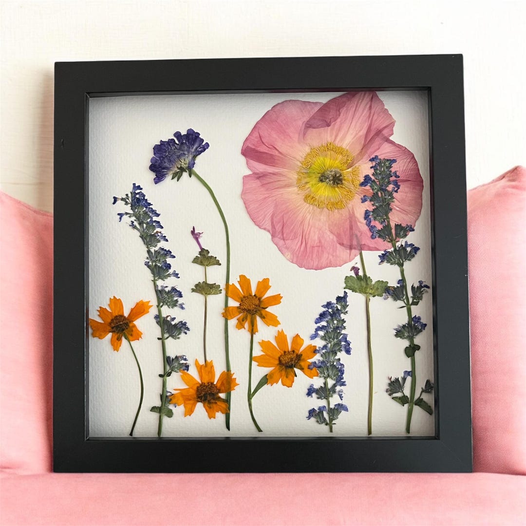 Real Pressed Flower Art, Botanical Art, Real Flowers, Original ...