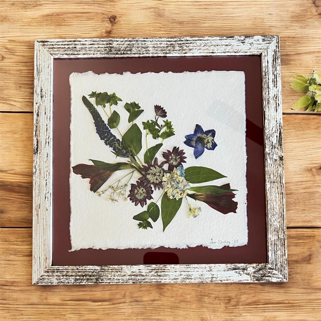Real Pressed Flower Art, Botanical Art, Real Flowers, Original ...