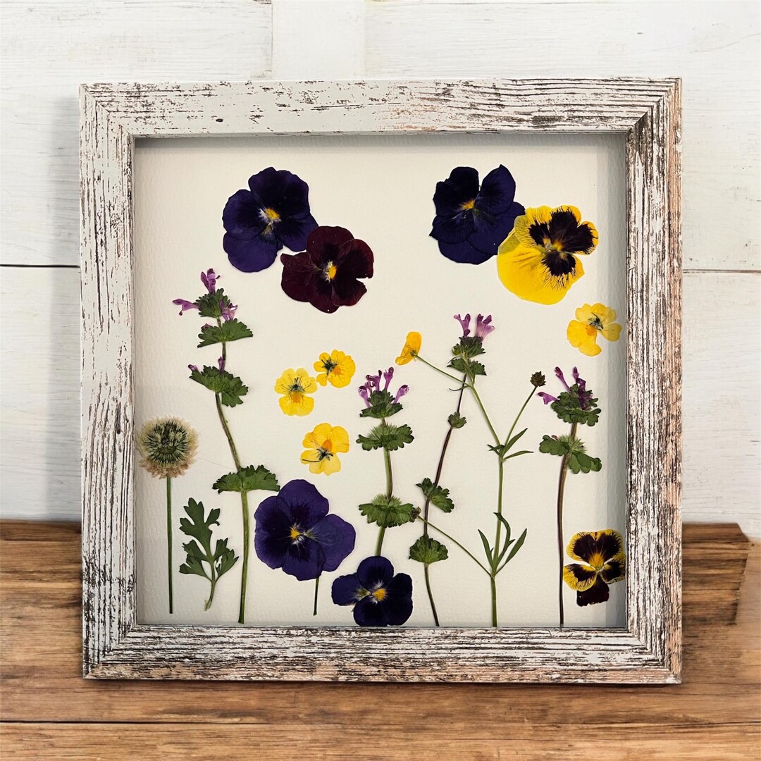 Real Pressed Flower Art, Botanical Art, Real Flowers, Original ...