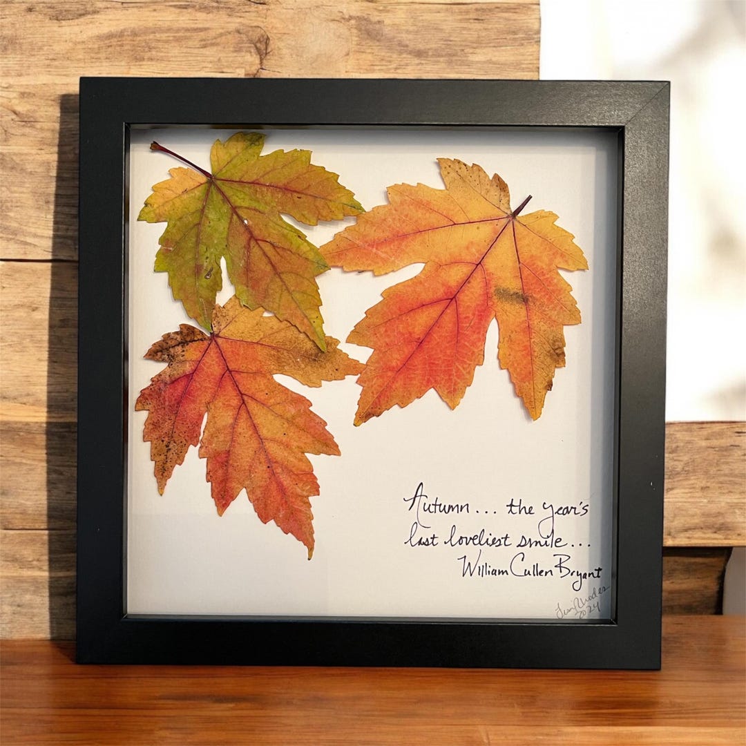 Real Pressed Leaf Art, Botanical Art, Real Maple Leaves, Original ...
