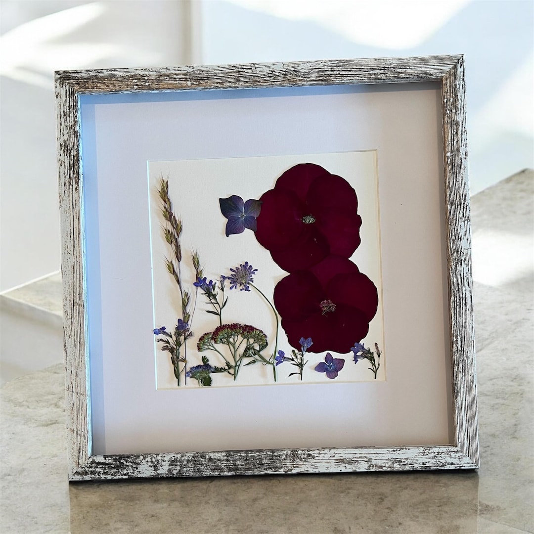 Real Pressed Flower Art, Botanical Art, Real Flowers, Original ...