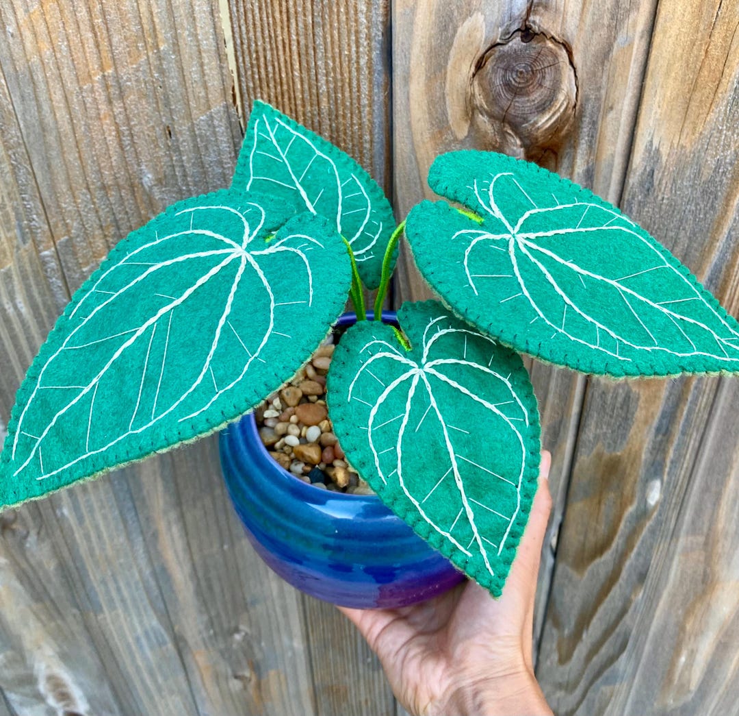 Handmade Felt Anthurium Magnificum Felt Plant Felt Potted Plant ...