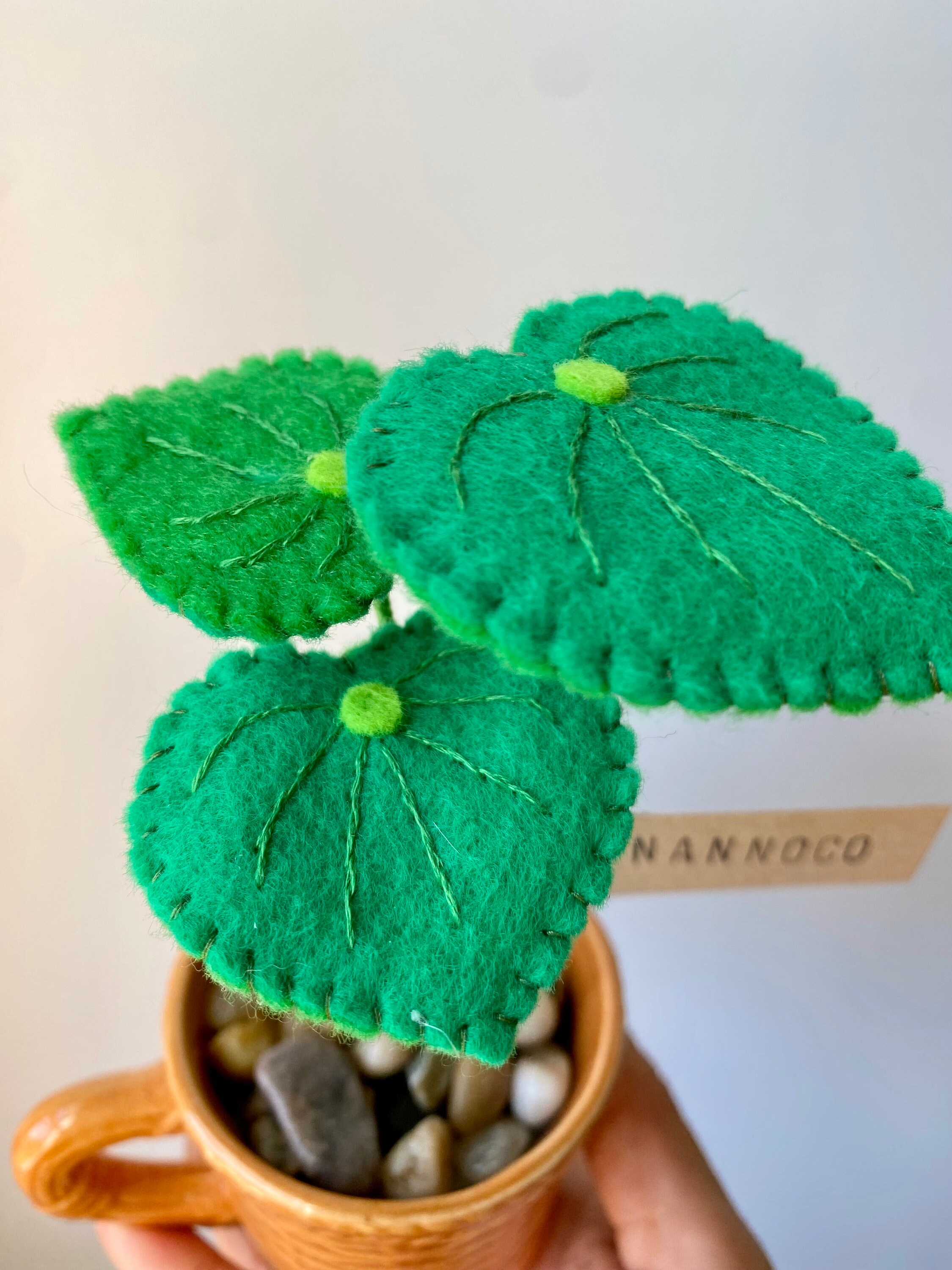 Handmade Felt Raindrop Peperomia Plant Felt Plant Felt - Etsy