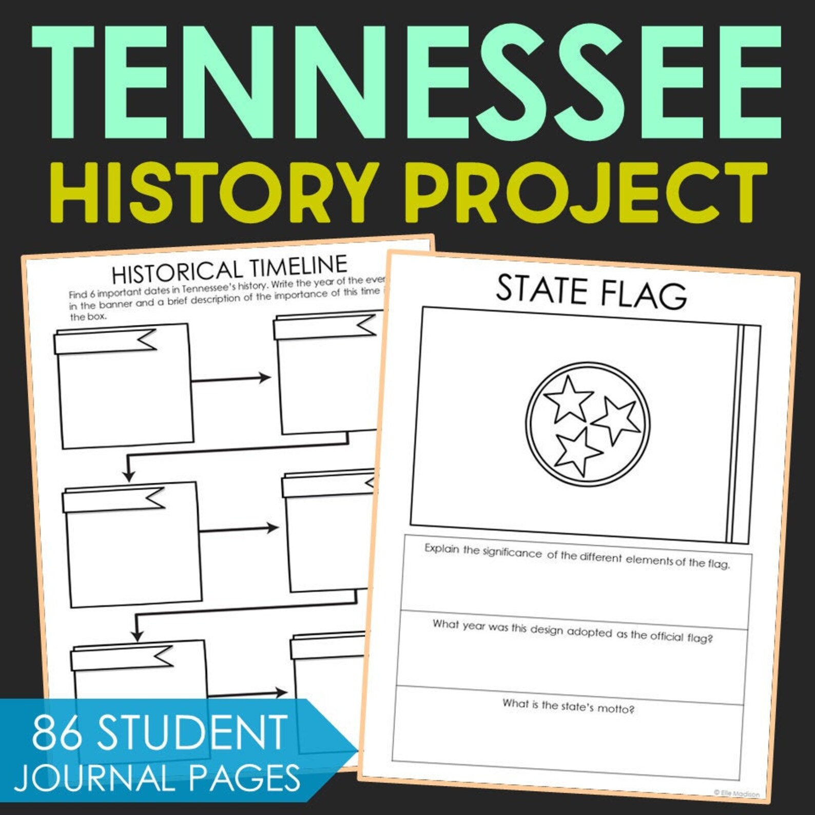 TENNESSEE Social Studies State History Project Homeschool - Etsy