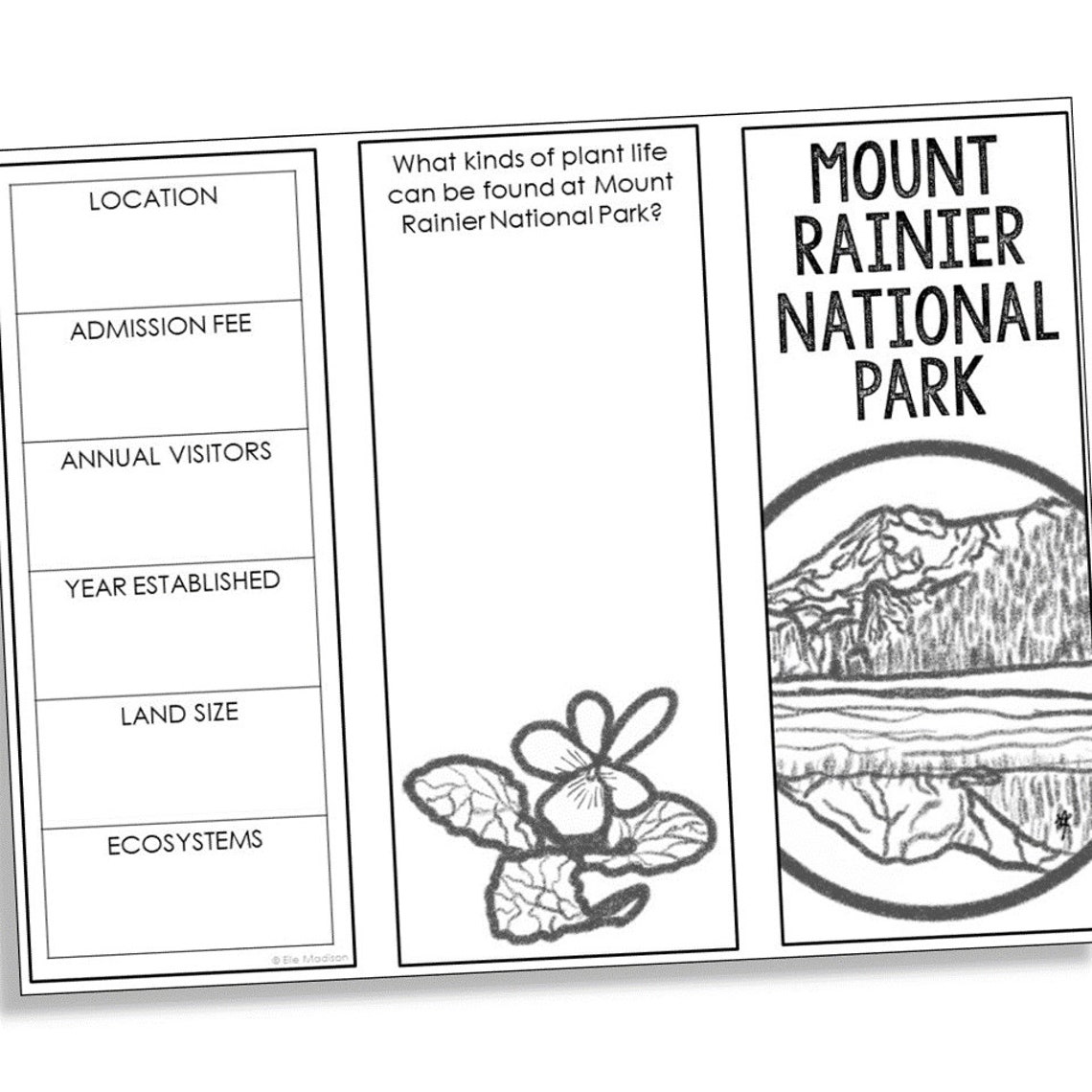 NATIONAL PARKS Research Brochure Projects Social Studies | Etsy