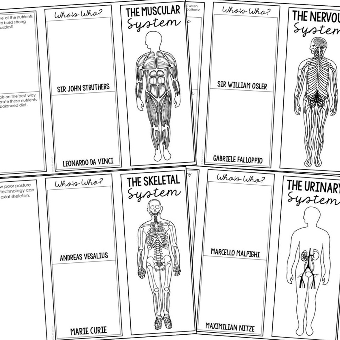 HUMAN BODY SYSTEMS Research Brochure Projects Science - Etsy