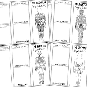 HUMAN BODY SYSTEMS Research Brochure Activity Projects | Science ...