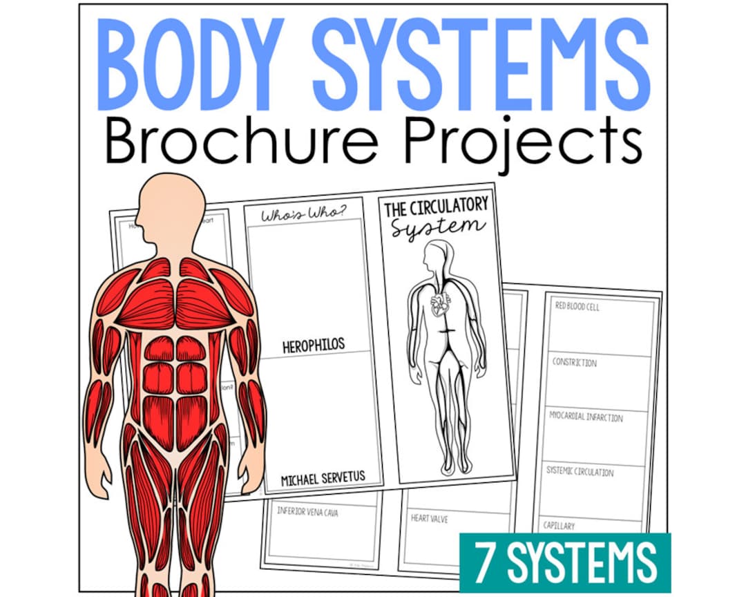 HUMAN BODY SYSTEMS Research Brochure Activity Projects | Science ...