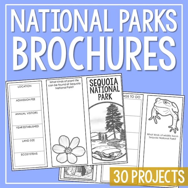 Parks Project - Etsy