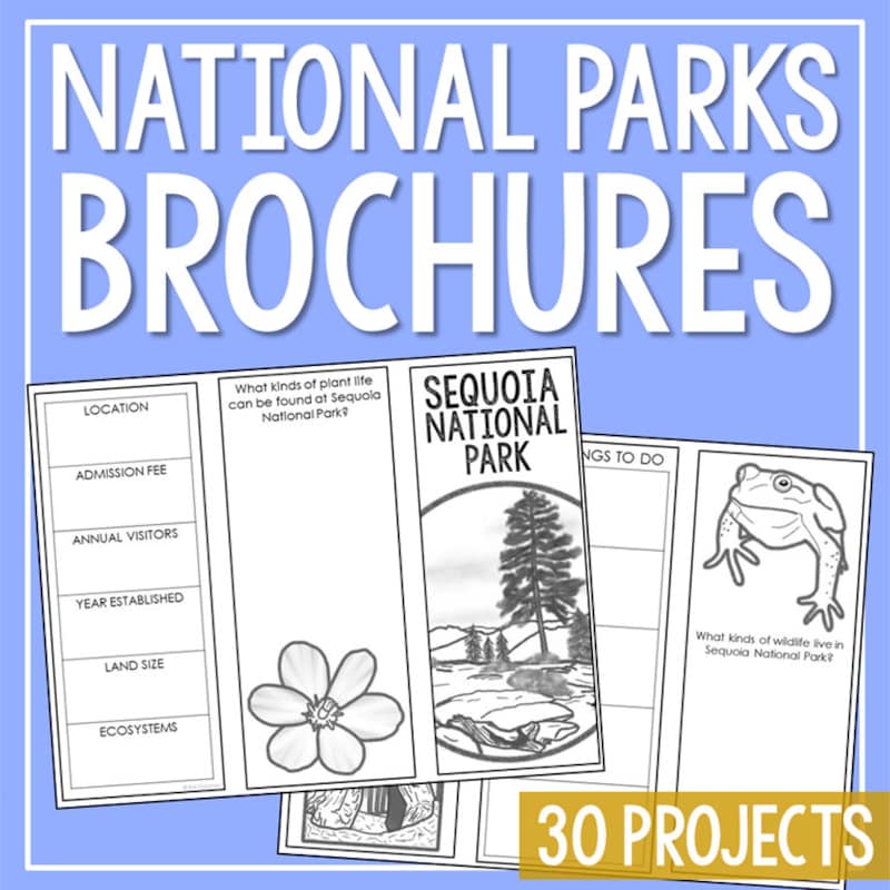 Parks Project - Etsy