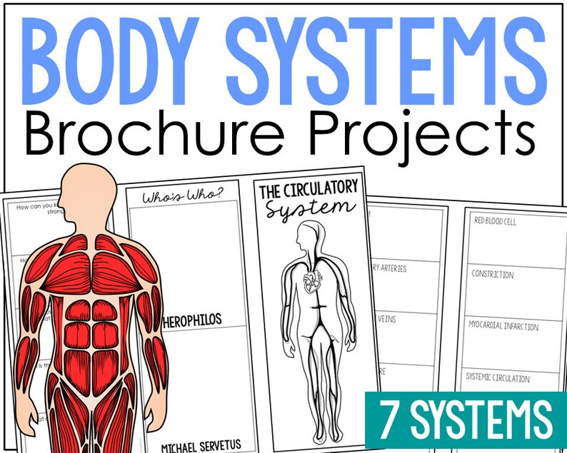 HUMAN BODY SYSTEMS Research Brochure Projects Science - Etsy
