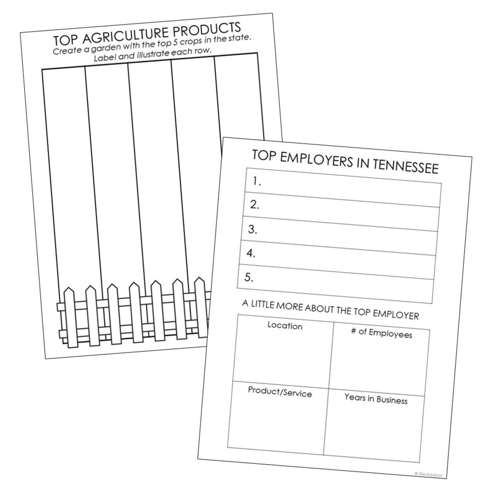 TENNESSEE Social Studies State History Project Homeschool - Etsy