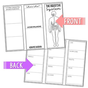 HUMAN BODY SYSTEMS Research Brochure Activity Projects | Science ...
