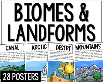 Educational Bulletin Board - Etsy